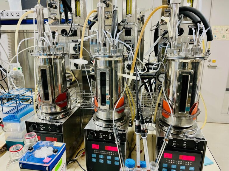 Symposium Program - ISBP 2024